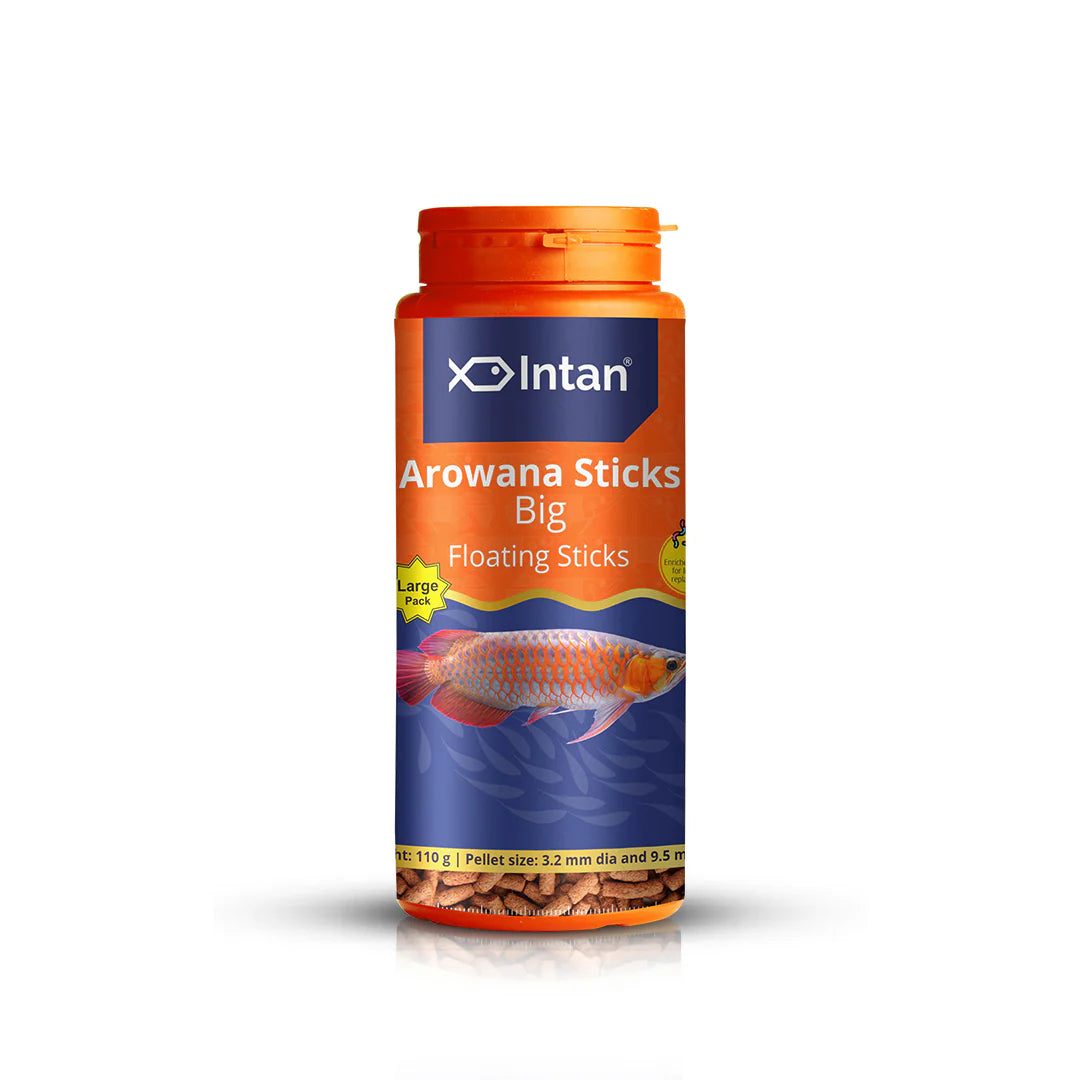 Intan Arowana Sticks Fish Food 110 gm - Big – TaggyTails
